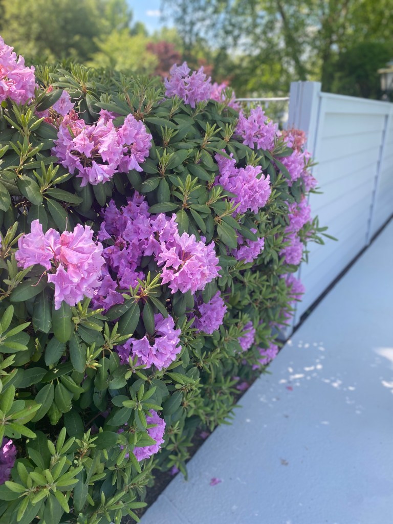 The Ridge of Delaware